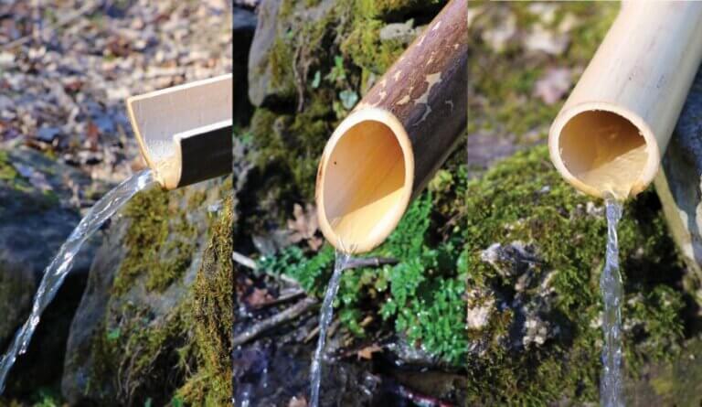 Designing a water feature with bamboo | UK Bamboo