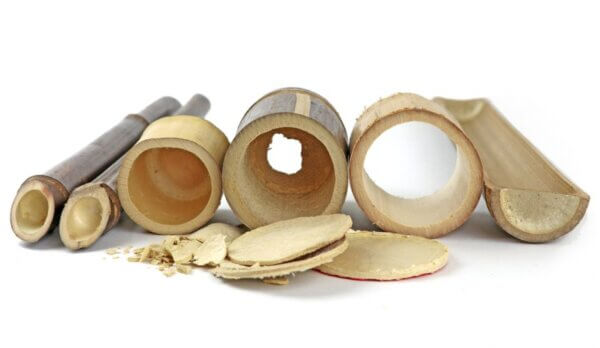 7 Characteristics of bamboo | UK Bamboo