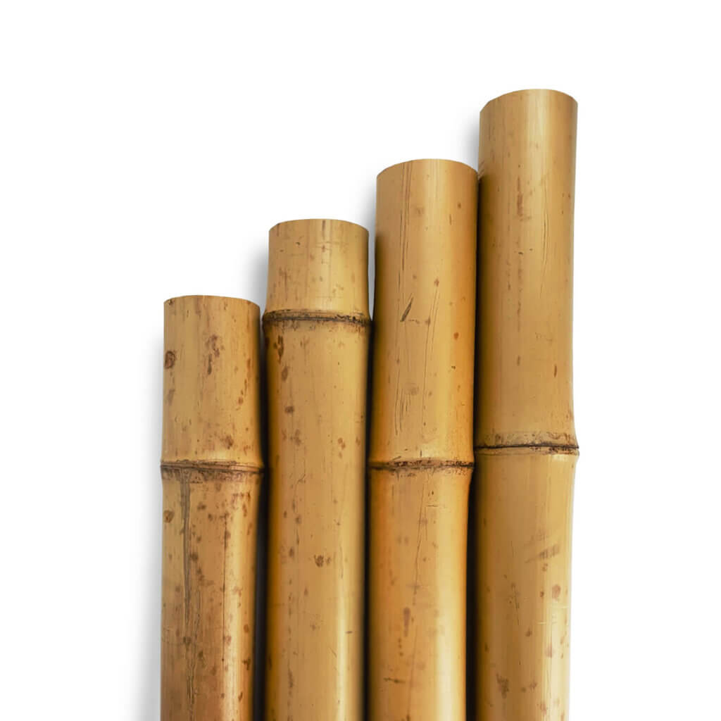 Our Bamboo Pole Range | UK Bamboo