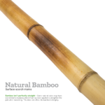 2m Natural Bamboo offcuts 25/50mm | UK Bamboo