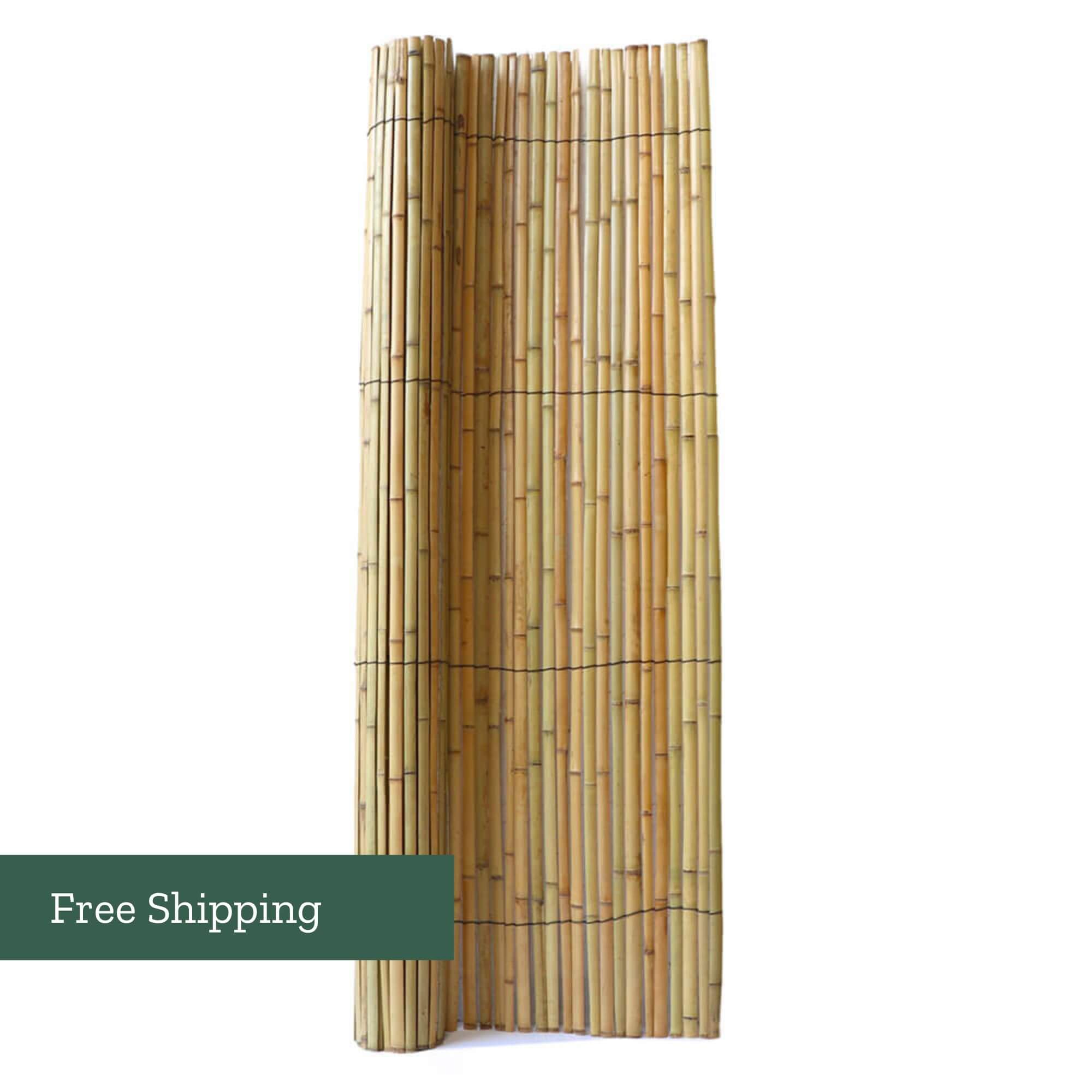Bamboo Screen Wedding