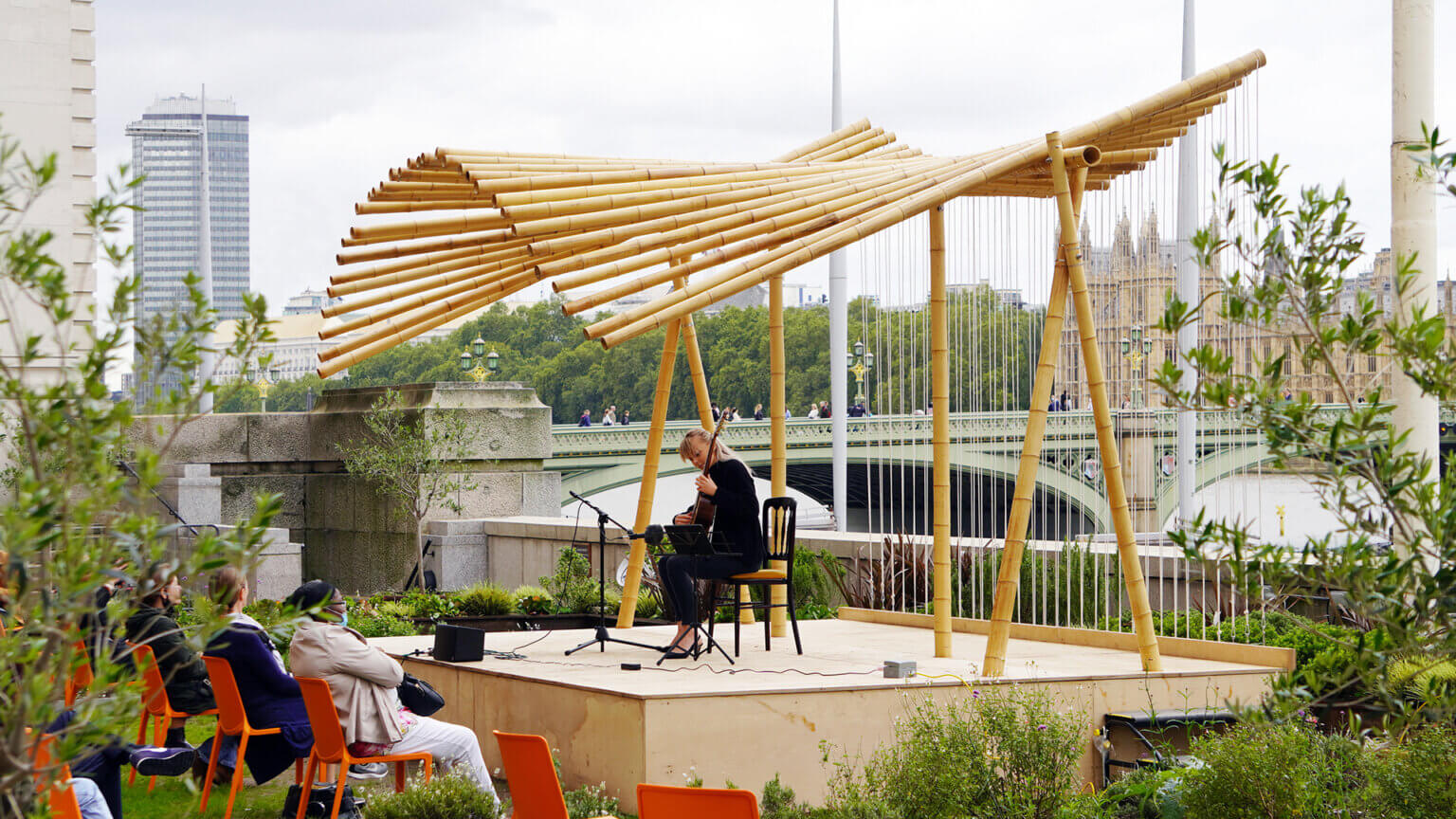 Bamboo for Commercial Projects | UK Bamboo