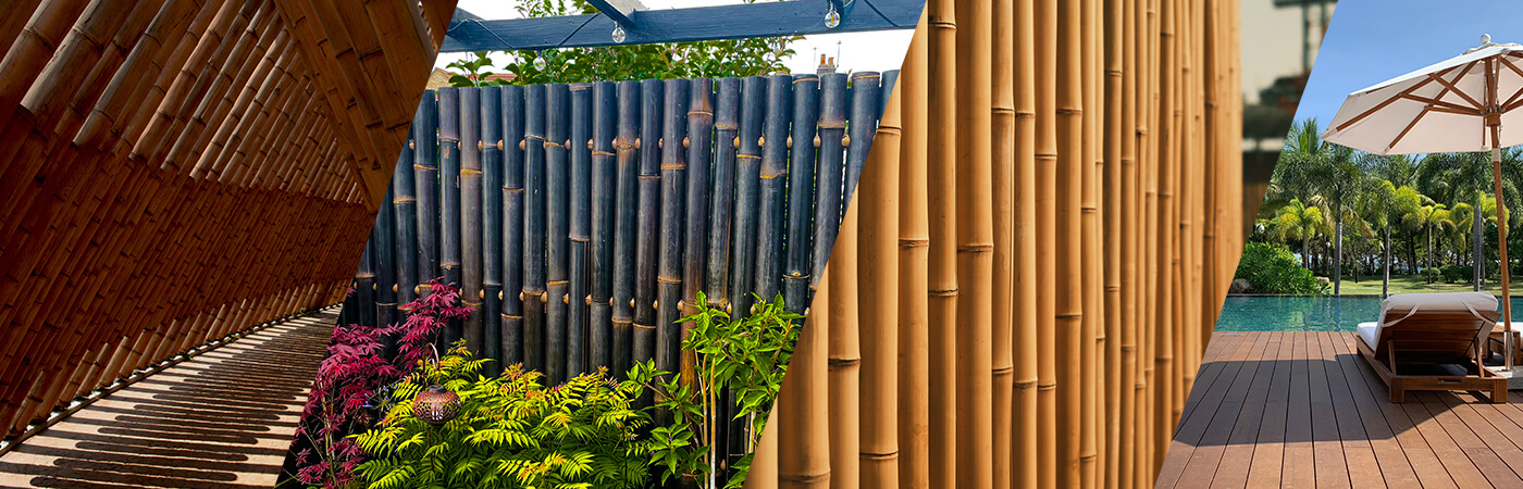 Bamboo for Commercial Projects | UK Bamboo